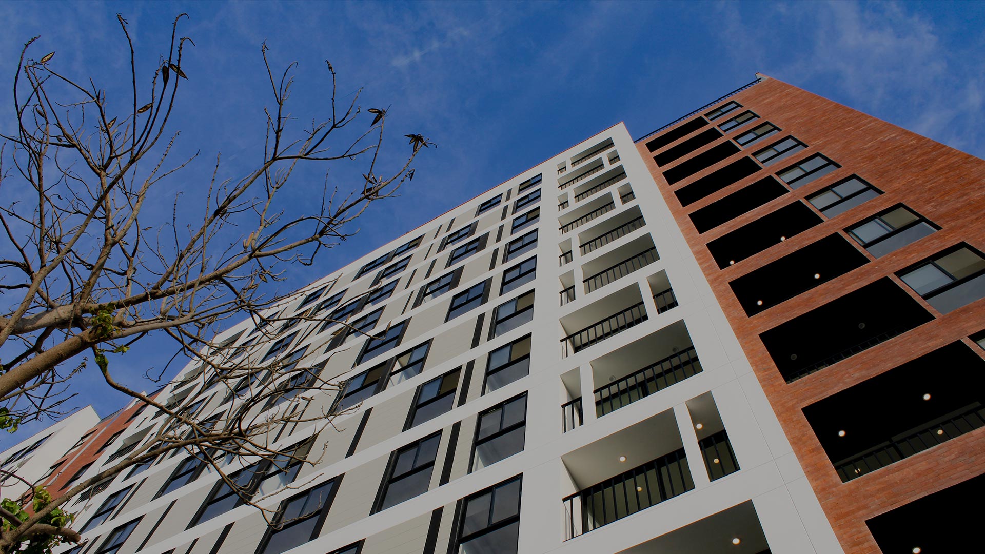 Olaya | Lima Diez Cero Siete Arquitectos